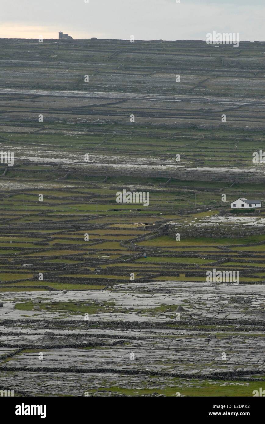 Inishmore stone walls hi-res stock photography and images - Alamy