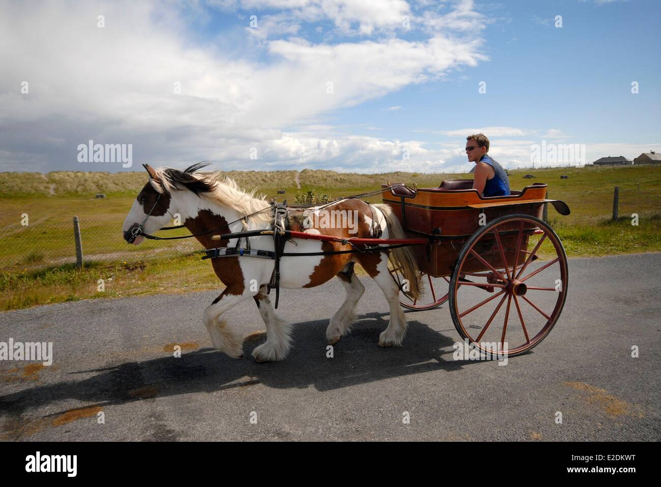 Ireland horse carriage hi-res stock photography and images - Alamy