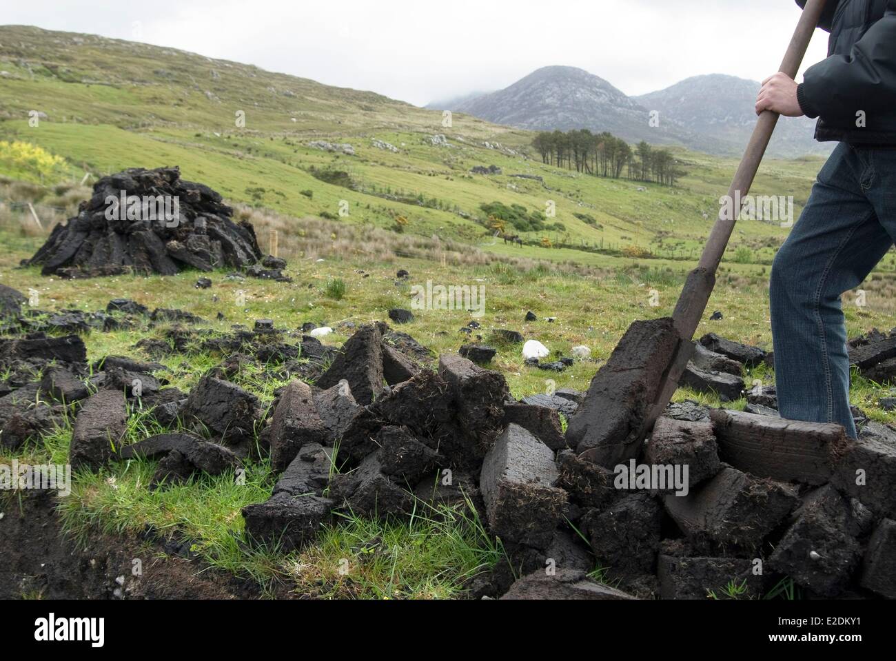 Ireland Galway County Clifden Connemara bog cut of the peat Stock Photo ...