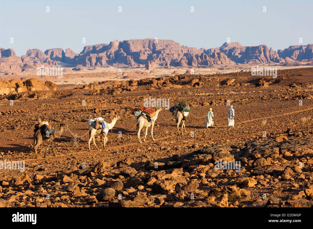 Chad Southern Sahara desert Ennedi massif Orogo plateau toubou nomads ... Chad Southern Sahara desert Ennedi massif Orogo plateau toubou nomads ...