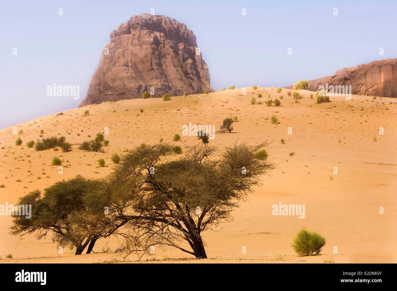Chad Southern Sahara desert Ennedi massif Birdjigol well Stock Photo ...