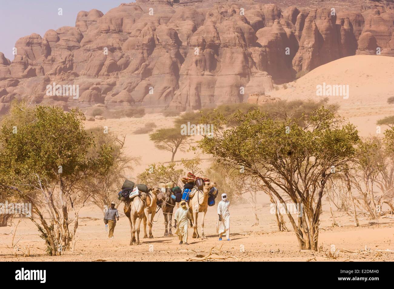 Chad Southern Sahara desert Ennedi massif Birdjigol well Stock Photo ...