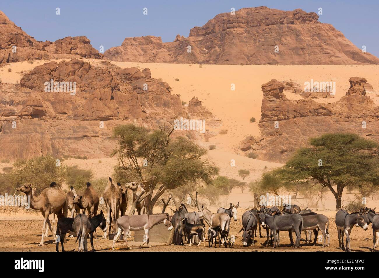 Chad Southern Sahara desert Ennedi massif Birdjigol well Stock Photo ...