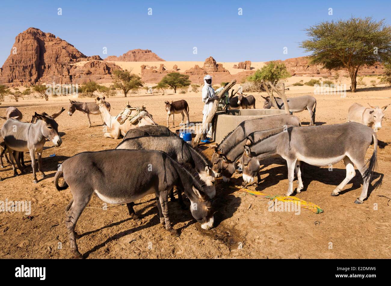 Chad Southern Sahara desert Ennedi massif Birdjigol well Stock Photo ...