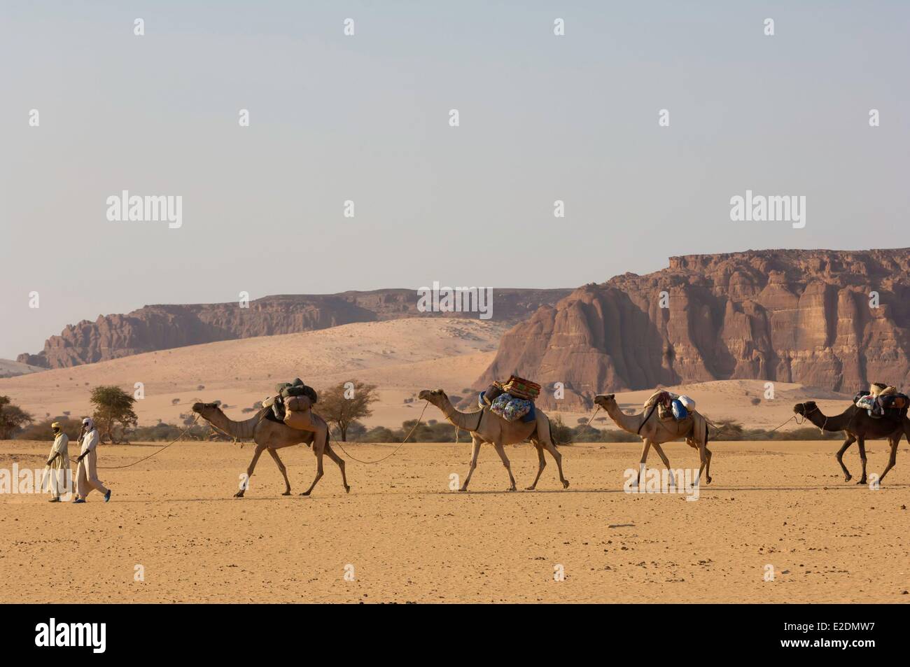 Chad Southern Sahara desert Ennedi massif Tougouloula oued Stock Photo ...