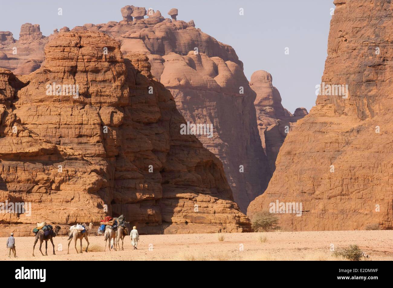 Chad Southern Sahara desert Ennedi massif Tougouloula oued Stock Photo ...
