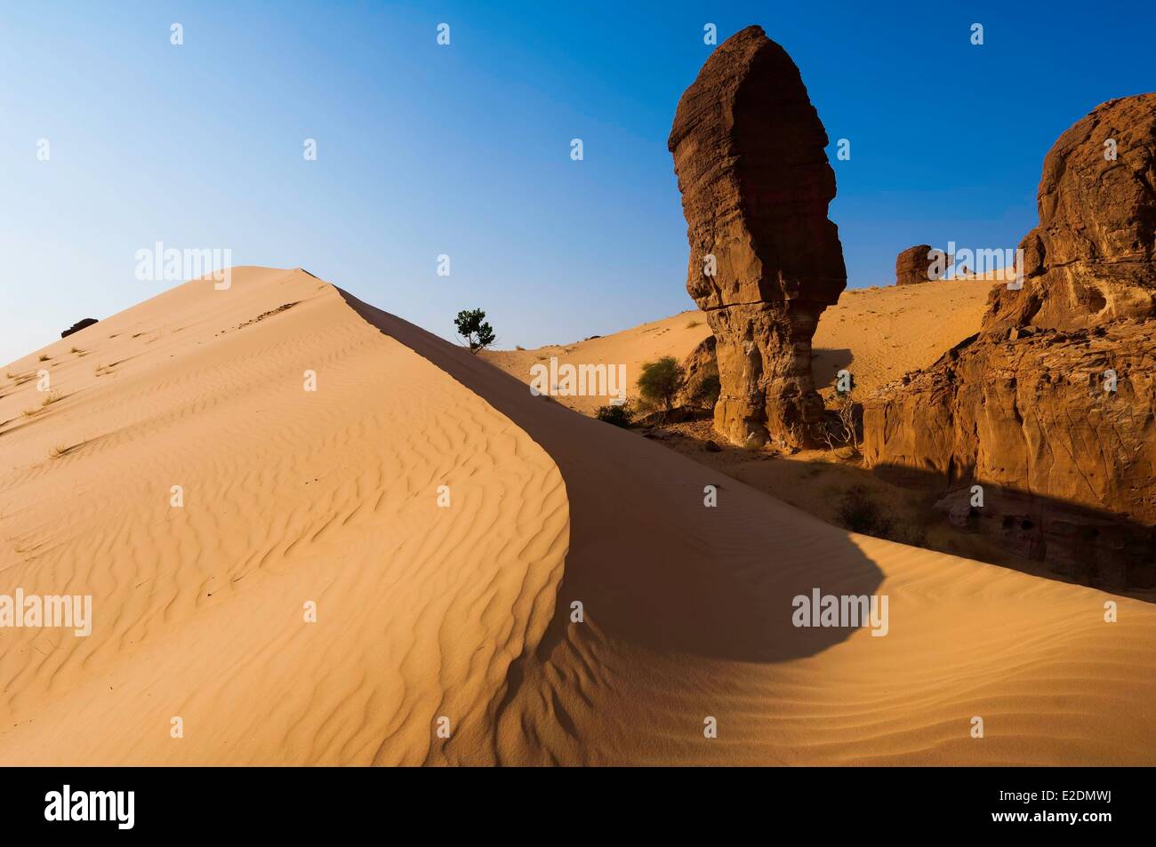 Chad Southern Sahara desert Ennedi massif Archei sector dunes and ...