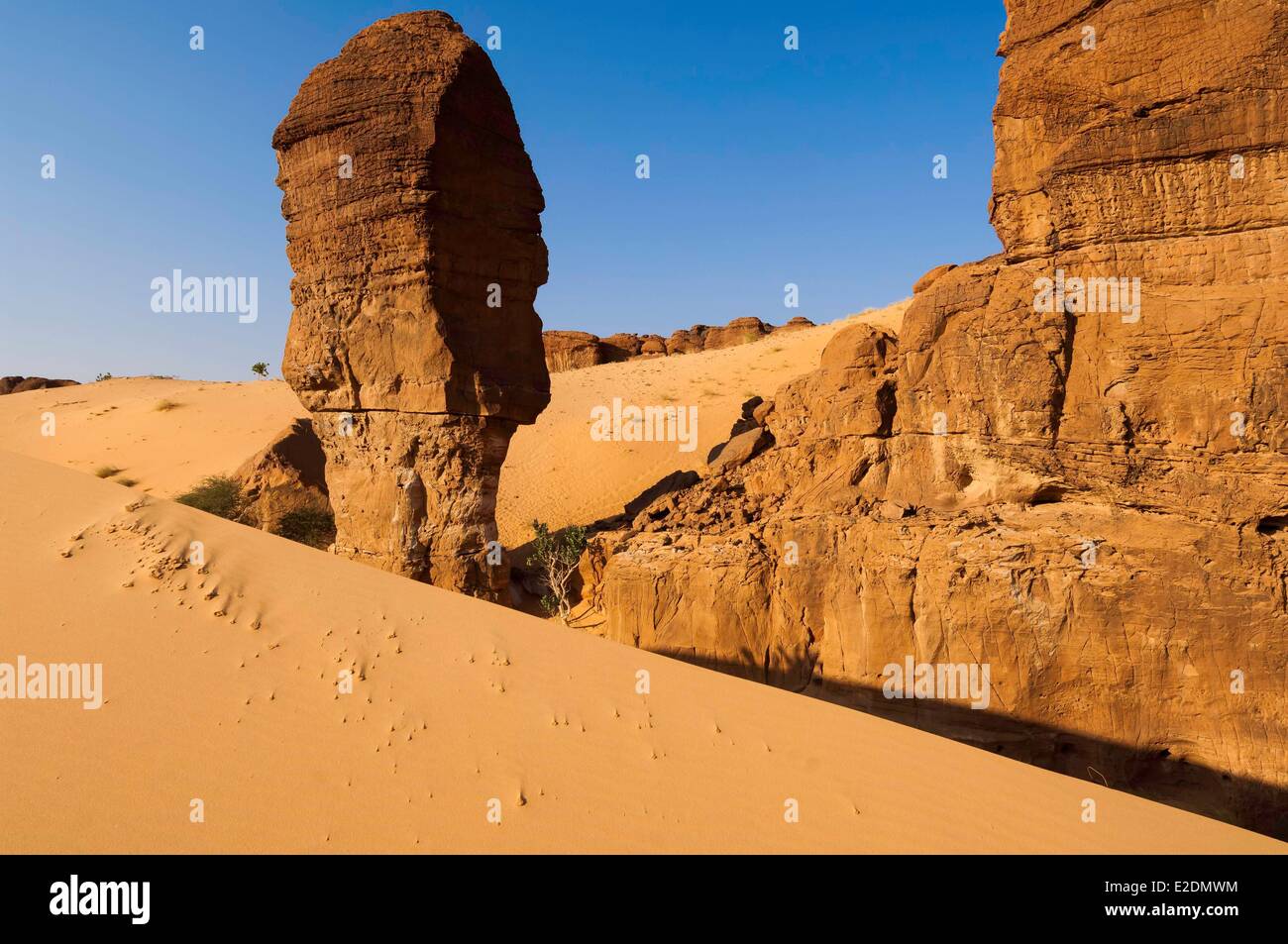 Chad Southern Sahara desert Ennedi massif Archei sector dunes and ...