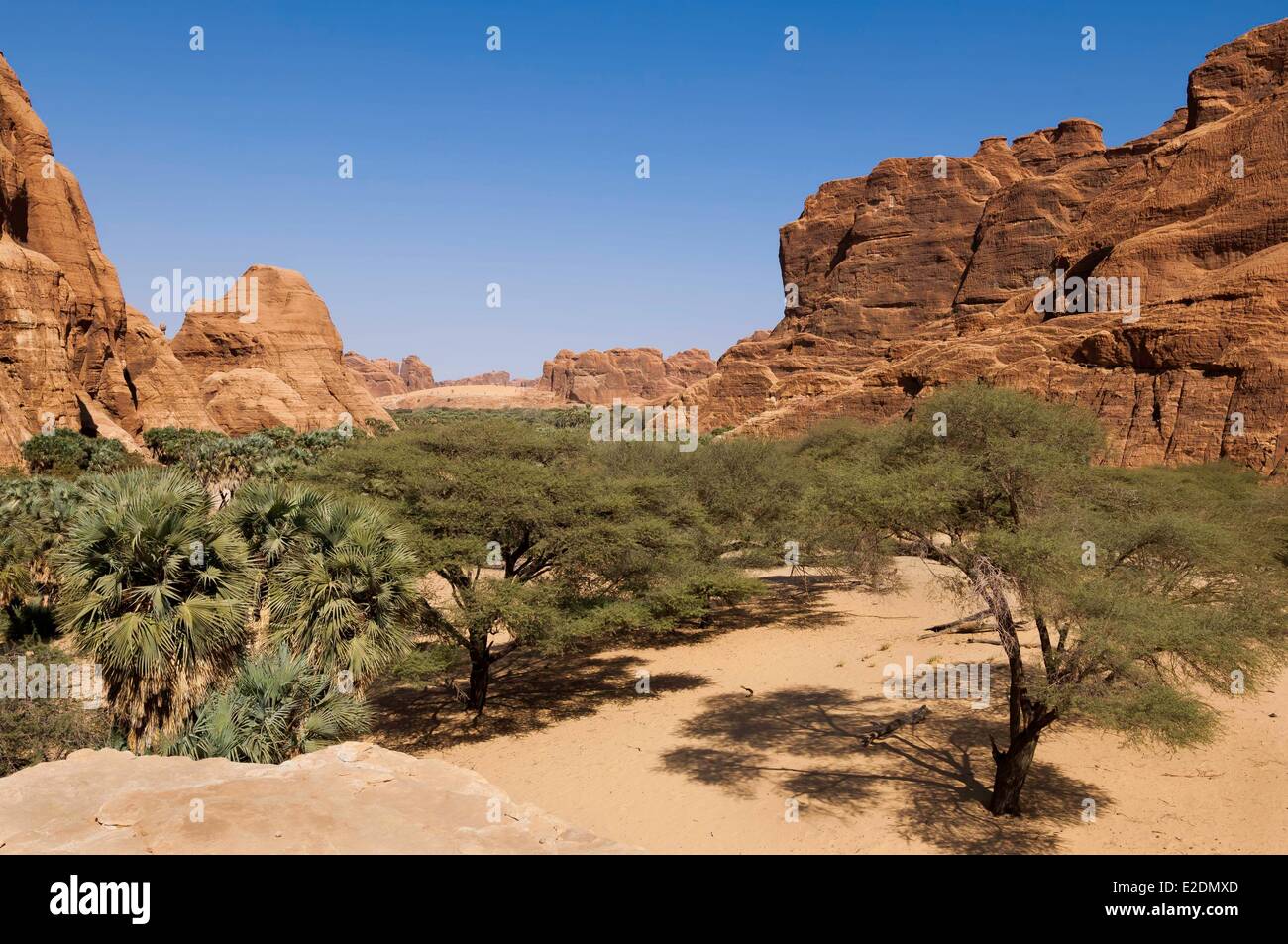 Chad Southern Sahara desert Ennedi massif Bachikele oued Stock Photo ...