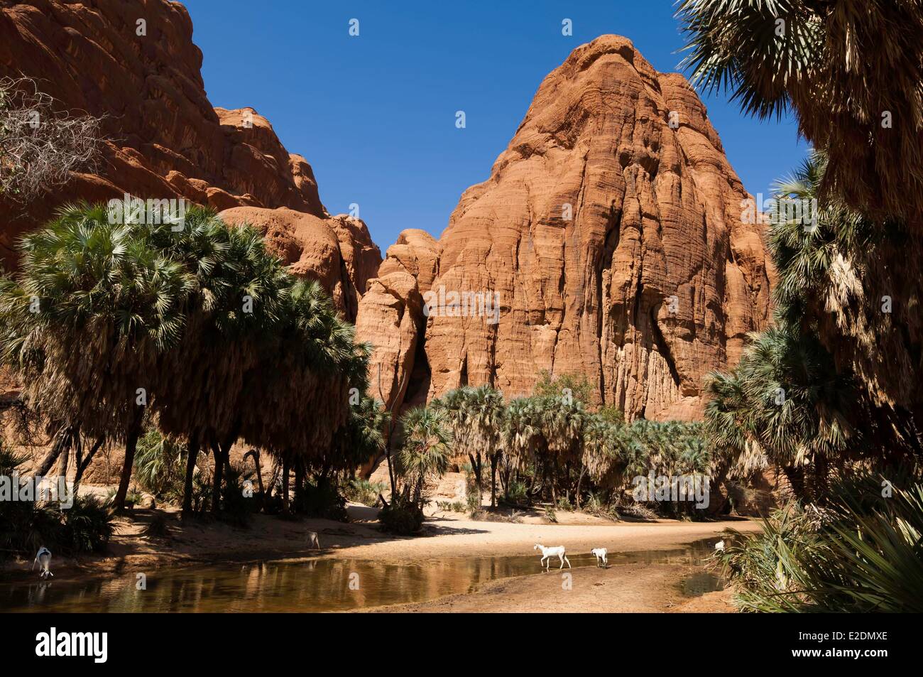 Chad Southern Sahara desert Ennedi massif Bachikele oued Stock Photo ...