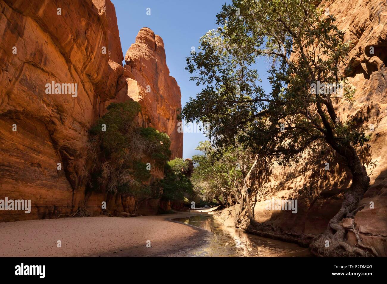 Chad Southern Sahara desert Ennedi massif Bachikele oued Stock Photo ...