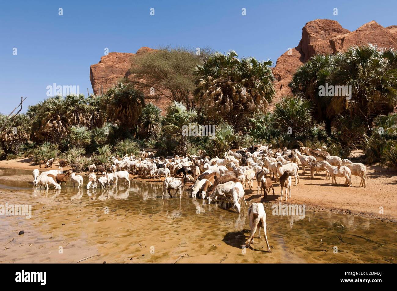 Chad Southern Sahara desert Ennedi massif Bachikele oued Stock Photo ...
