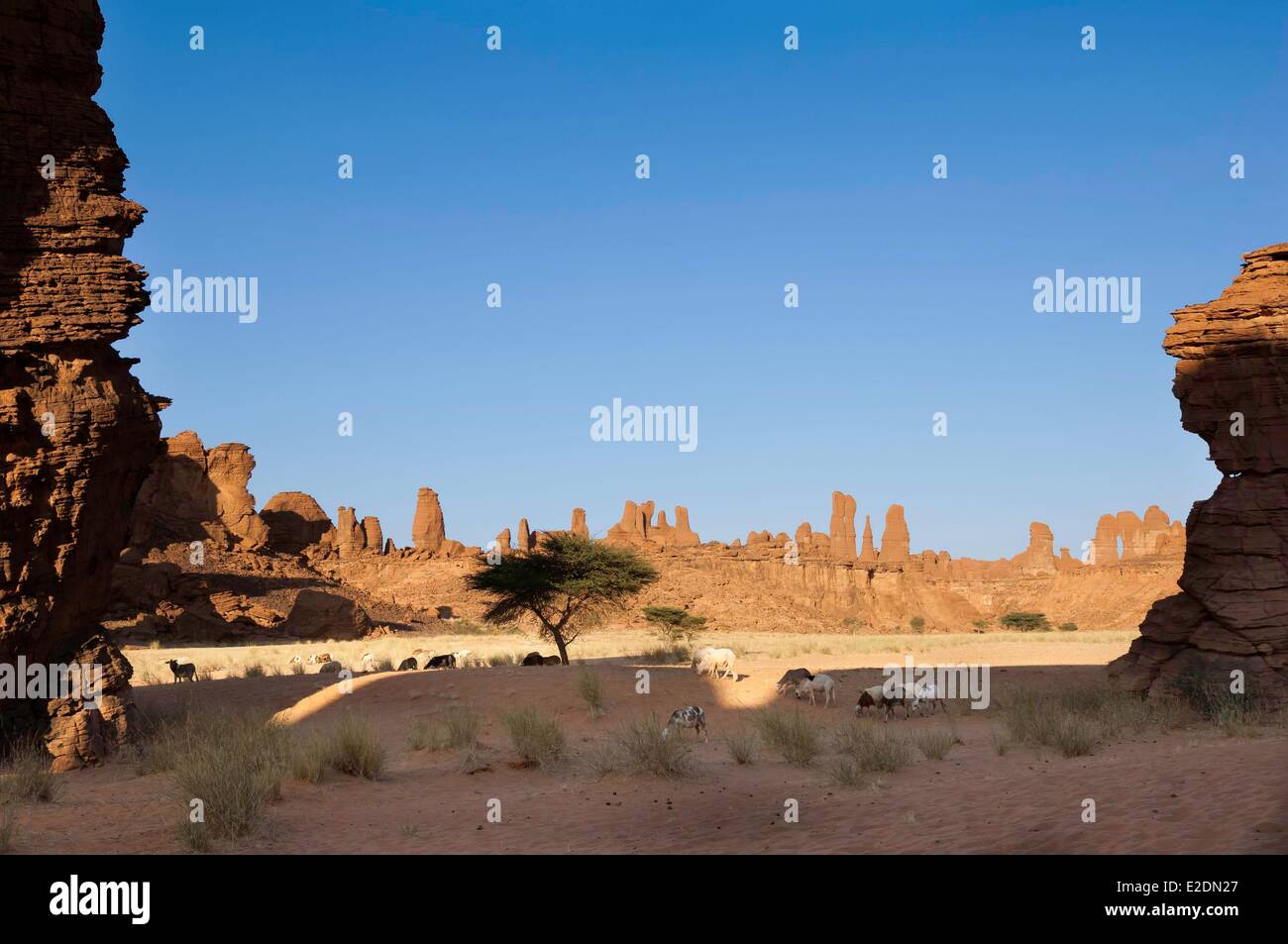 Chad Southern Sahara desert Ennedi massif Ouinimia amphitheater Stock ...
