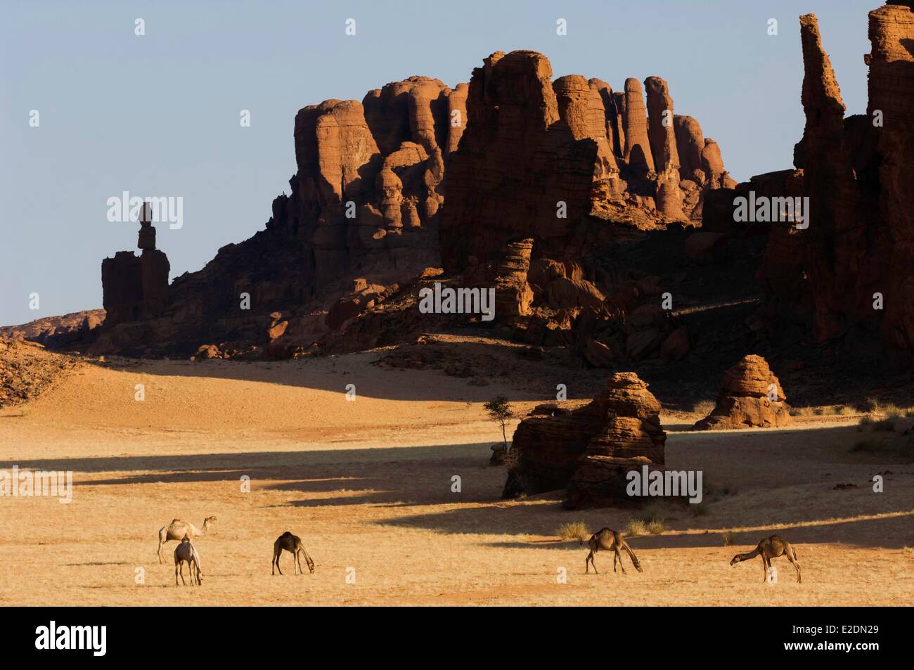 Chad Southern Sahara desert Ennedi massif Ouinimia amphitheater Stock ...