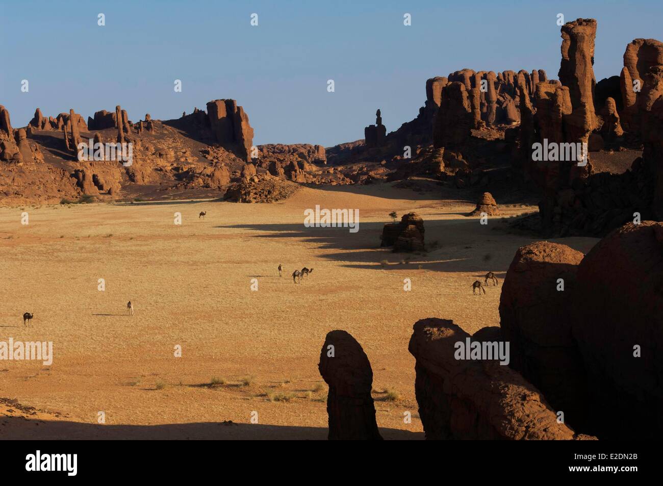 Chad Southern Sahara desert Ennedi massif Ouinimia amphitheater Stock ...