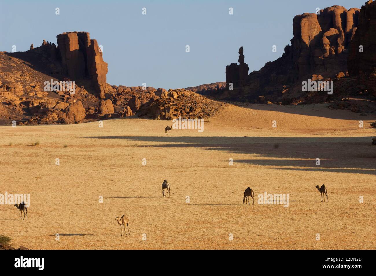 Chad Southern Sahara desert Ennedi massif Ouinimia amphitheater Stock ...