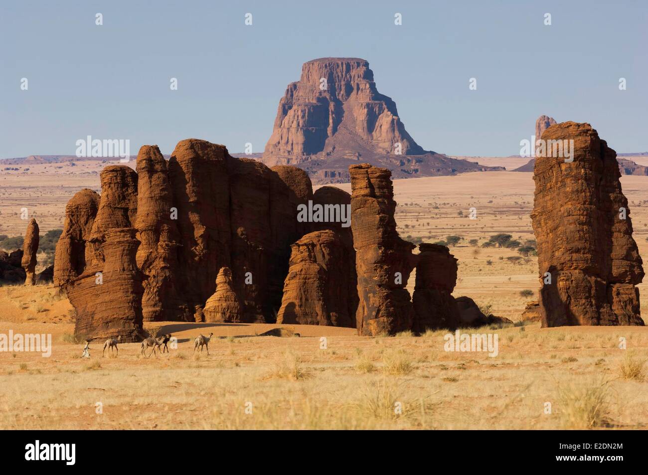 Chad Southern Sahara desert Ennedi massif Ouinimia amphitheater Stock ...