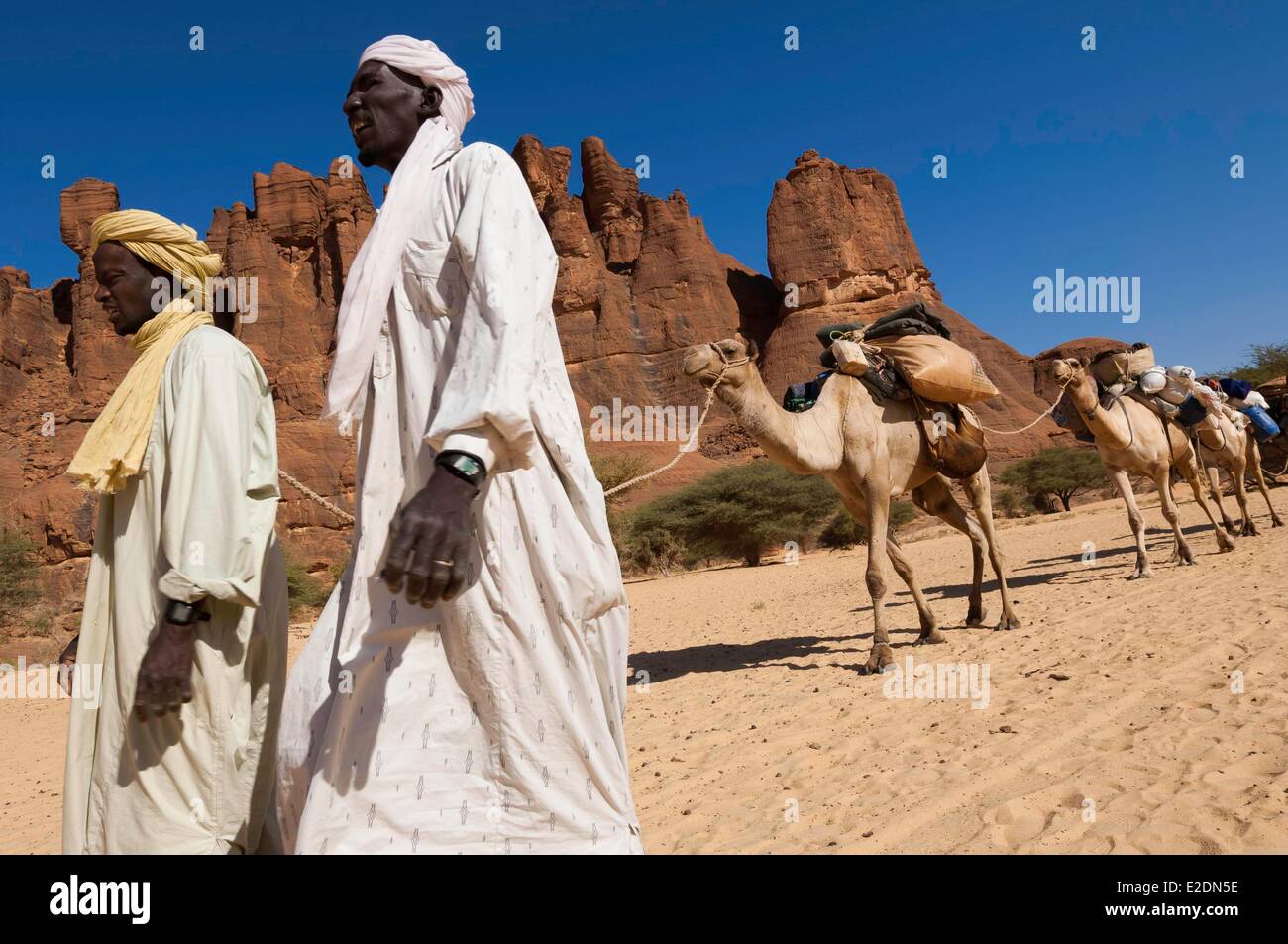 Chad Southern Sahara desert Ennedi massif Archei caravan of toubou ...