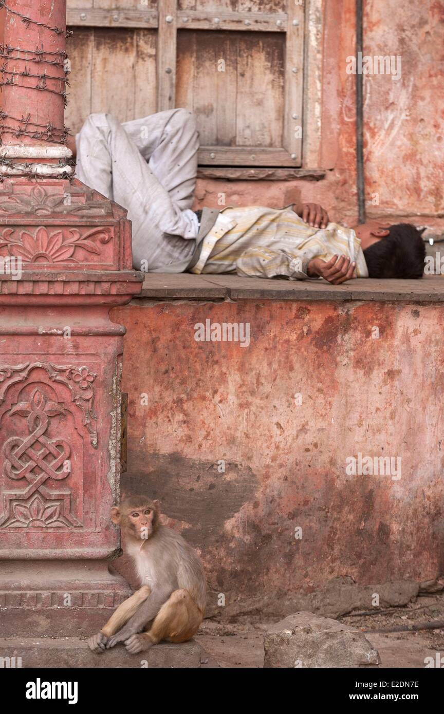 Daily life in jaipur hi-res stock photography and images - Alamy