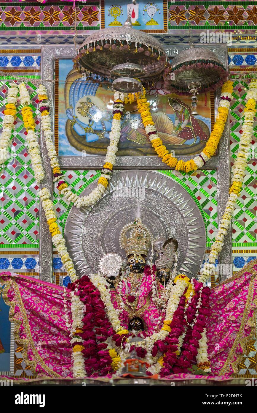 India Rajasthan state Jaipur dedicated to the monkey god Hanuman in the ...