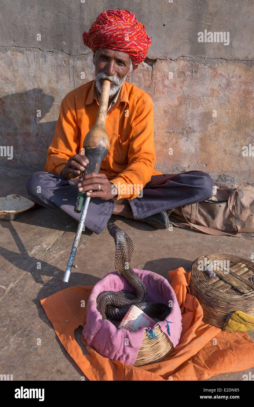 India Rajasthan state Jaipur snake charmer to the Galta temple ...