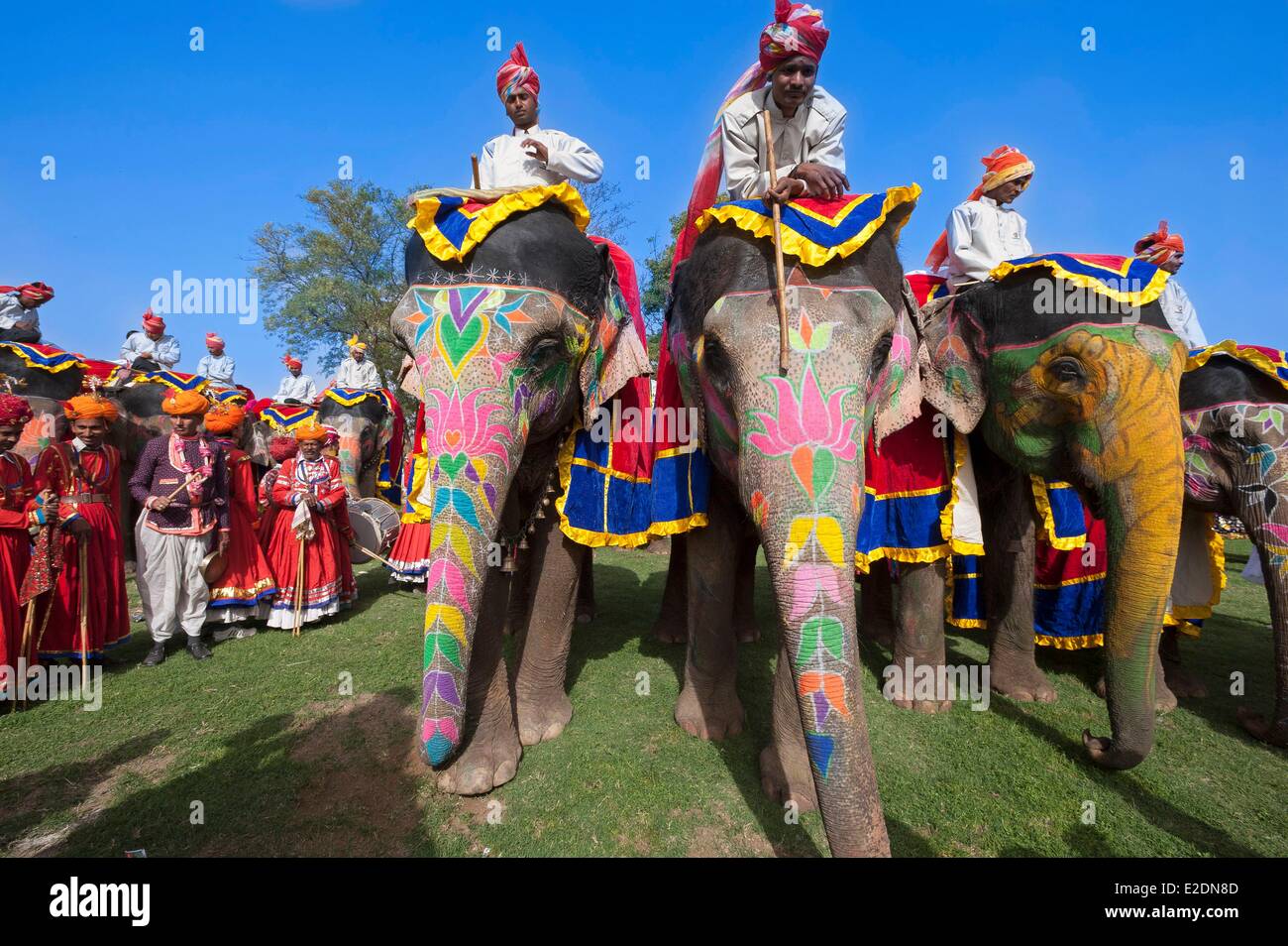 India Rajasthan state Jaipur Elephant Festival Stock Photo - Alamy