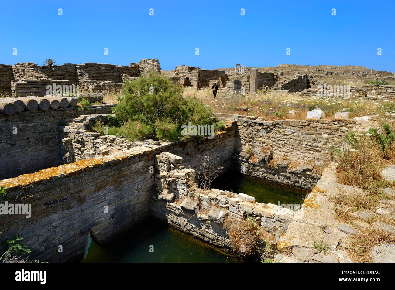 Greece Cyclades islands Delos listed as World Heritage by UNESCO the ...