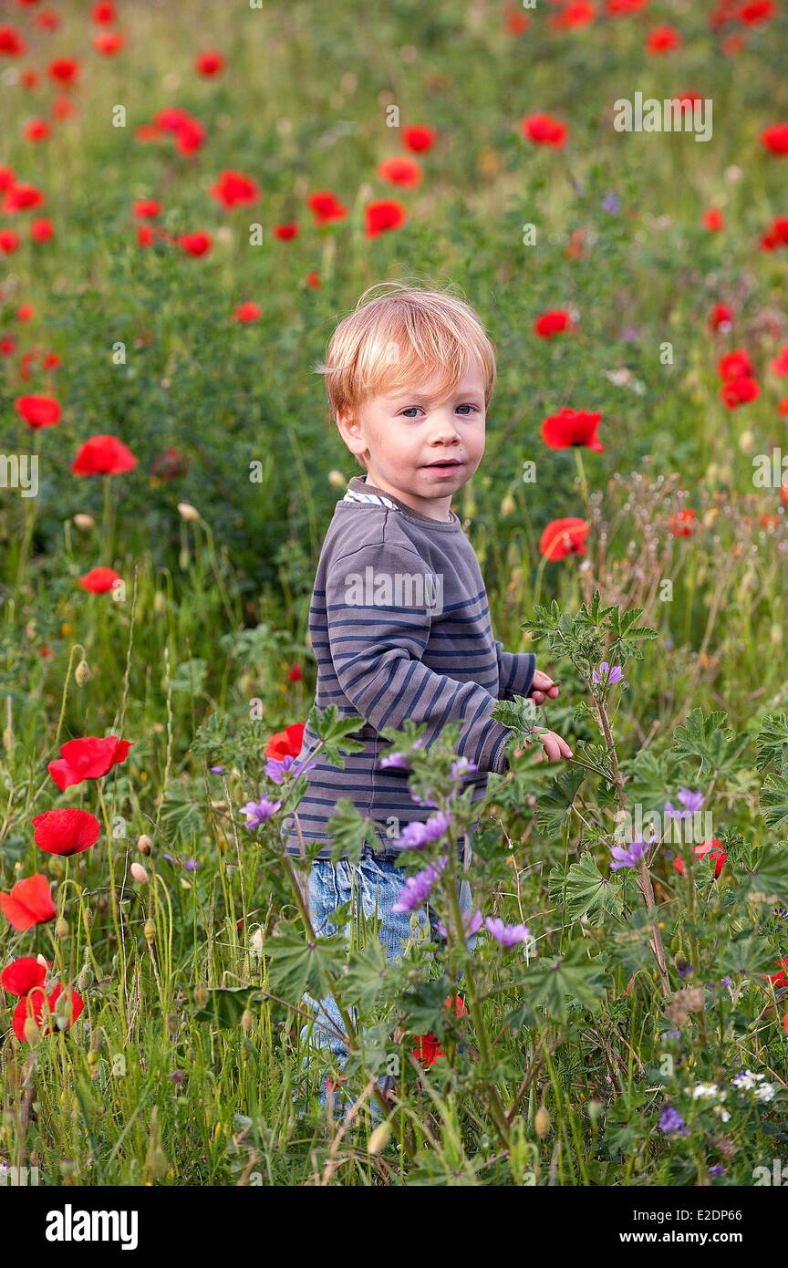 Child boy in a poppy field hi-res stock photography and images - Alamy