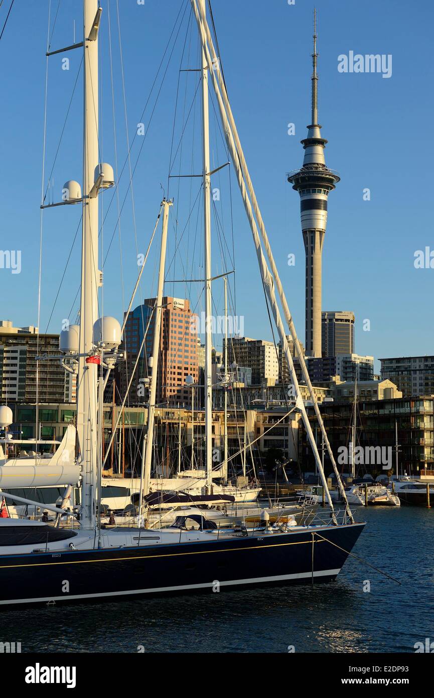 New Zealand North Island Auckland Viaduct Harbour (or Viaduct Basin) is ...