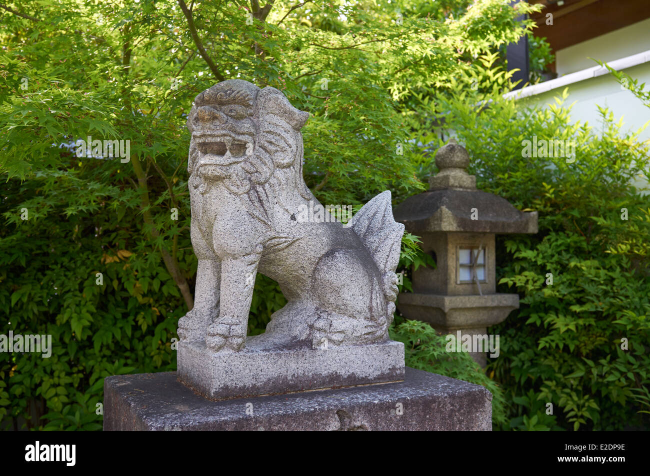 Shinto komainu hi-res stock photography and images - Alamy