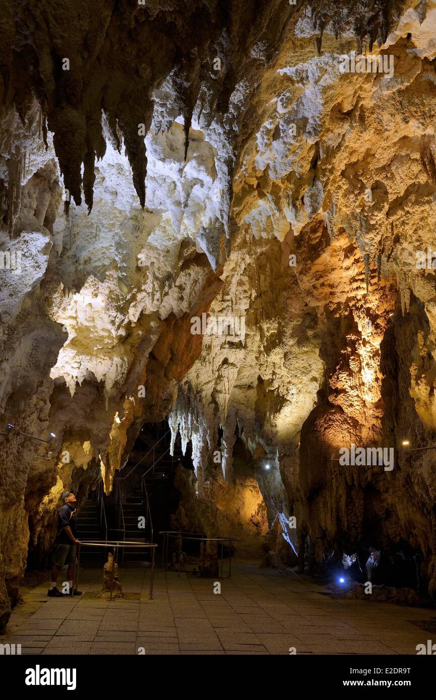 Cathedral Caves Waitomo New Zealand Limestone Caves Cave New Zealand