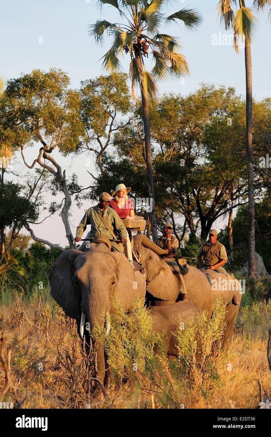 Botswana North West District the Okavango Delta the Abu Camp is home to ...
