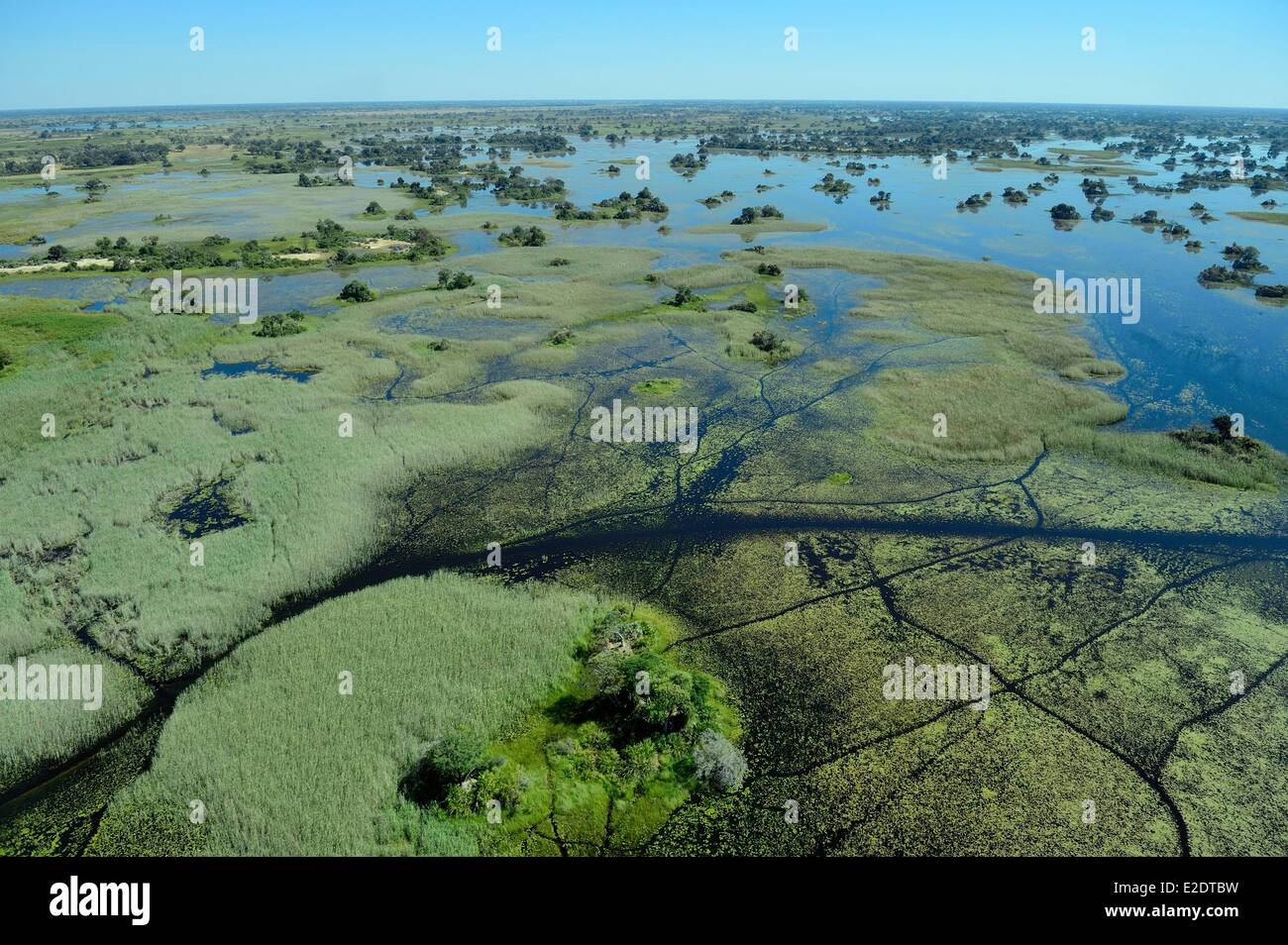 Botswana Northwest district Okavango delta (aerial view Stock Photo - Alamy