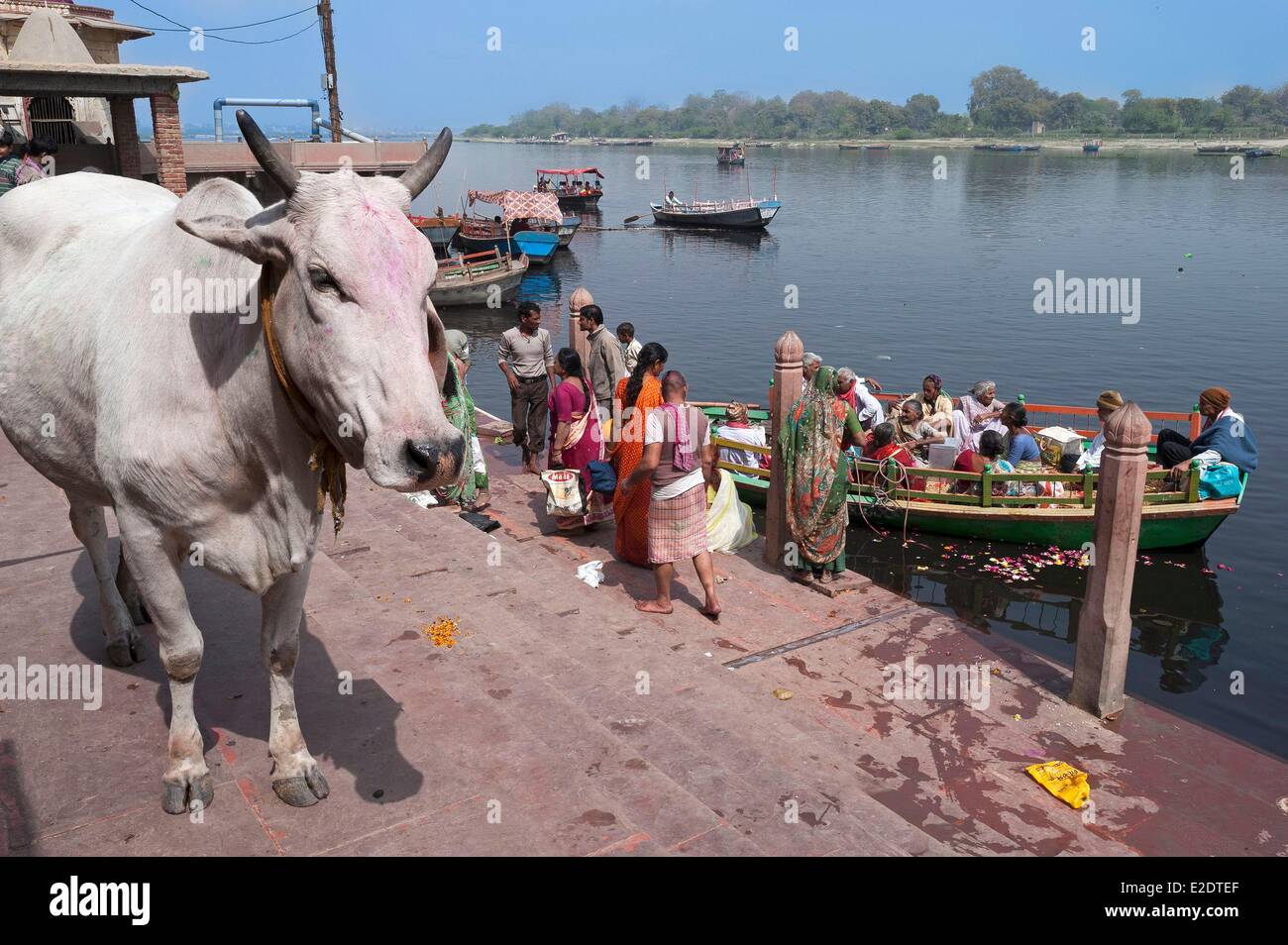 Mathura river hi-res stock photography and images - Alamy