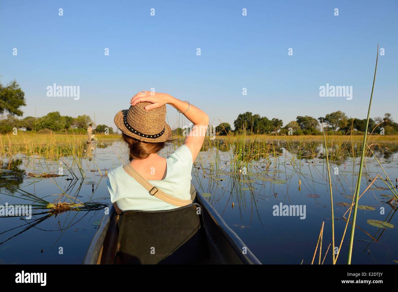 Botswana Northwest District Okavango Delta crossing the marsh by mokoro ...