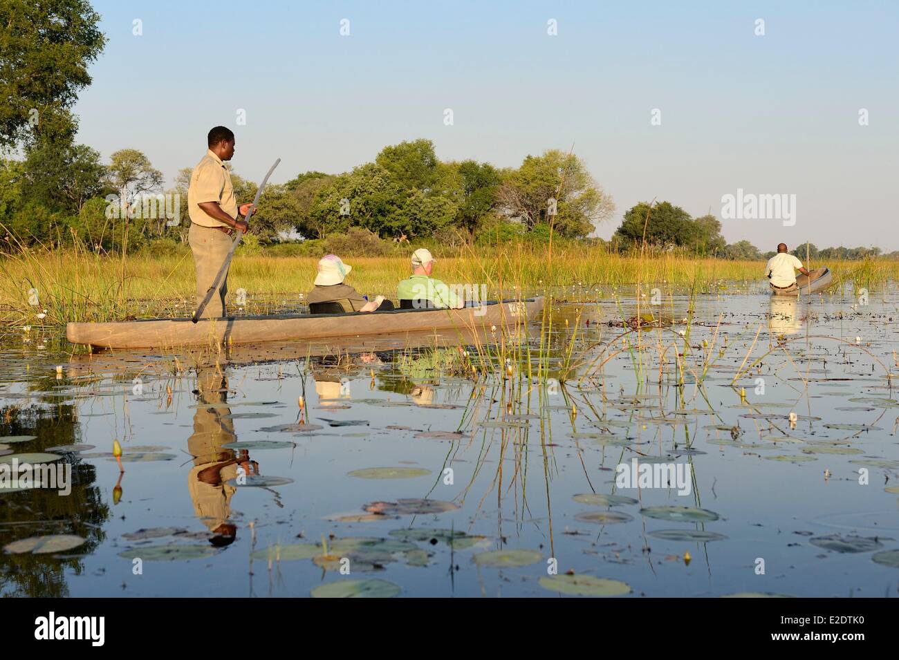 Botswana Northwest District Okavango Delta crossing the marsh by mokoro ...