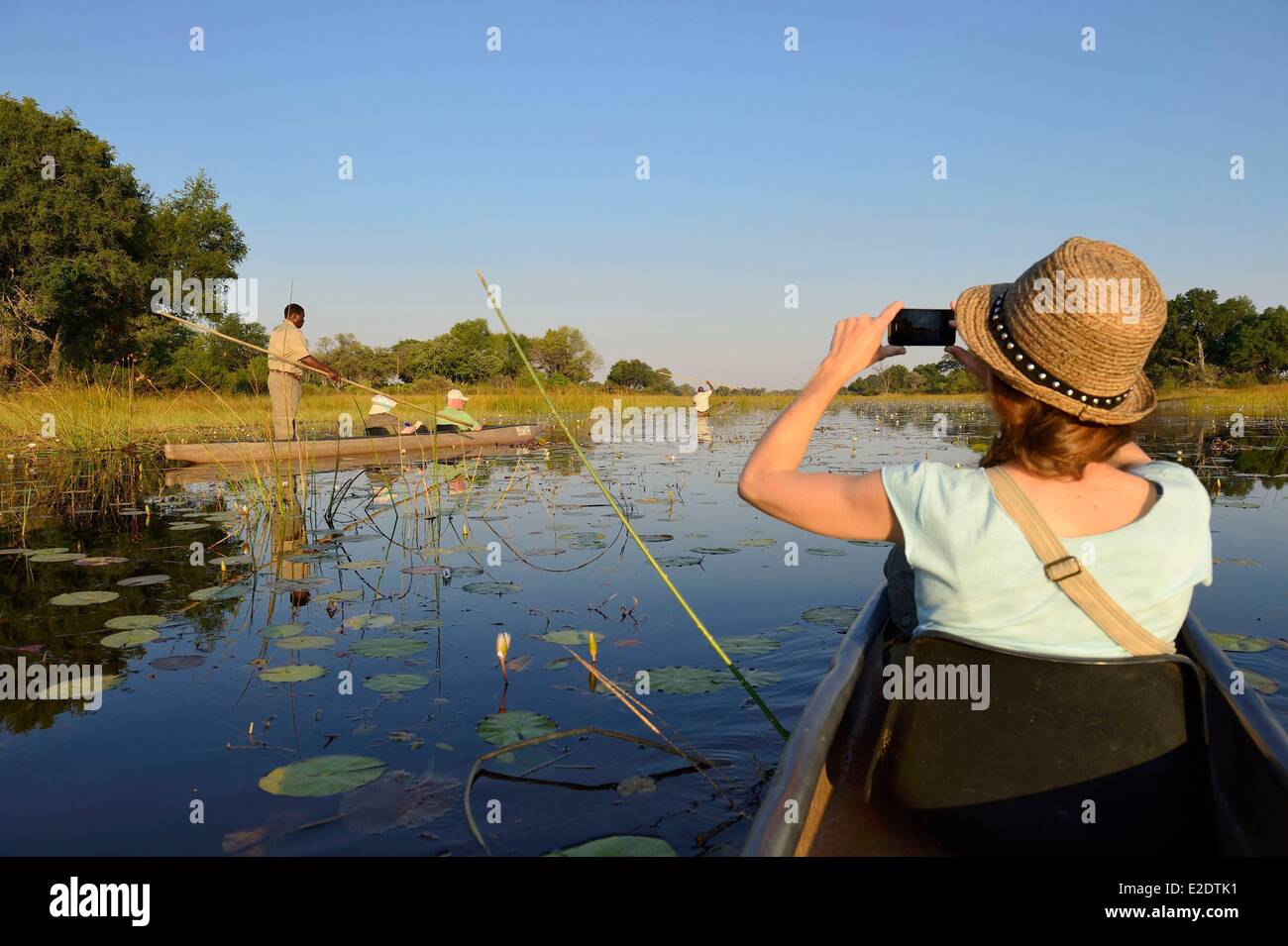 Botswana Northwest District Okavango Delta crossing the marsh by mokoro ...