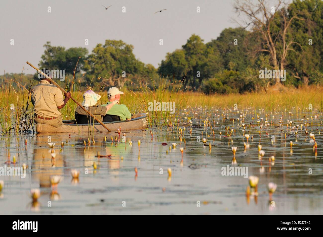 Botswana Northwest District Okavango Delta crossing the marsh by mokoro ...