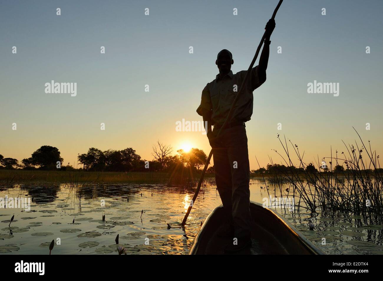 Botswana Northwest District Okavango Delta crossing the marsh by mokoro ...