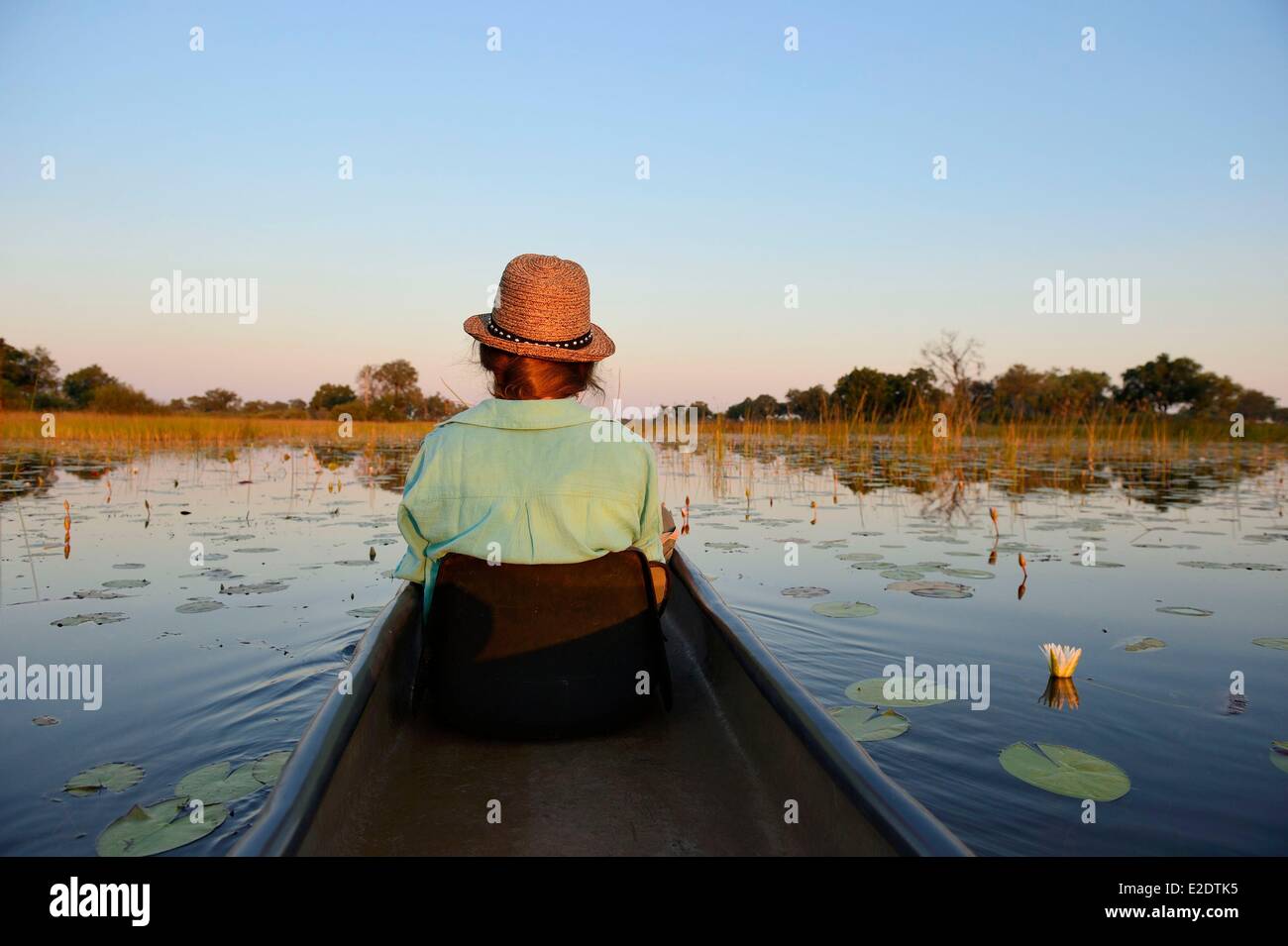 Botswana Northwest District Okavango Delta crossing the marsh by mokoro ...