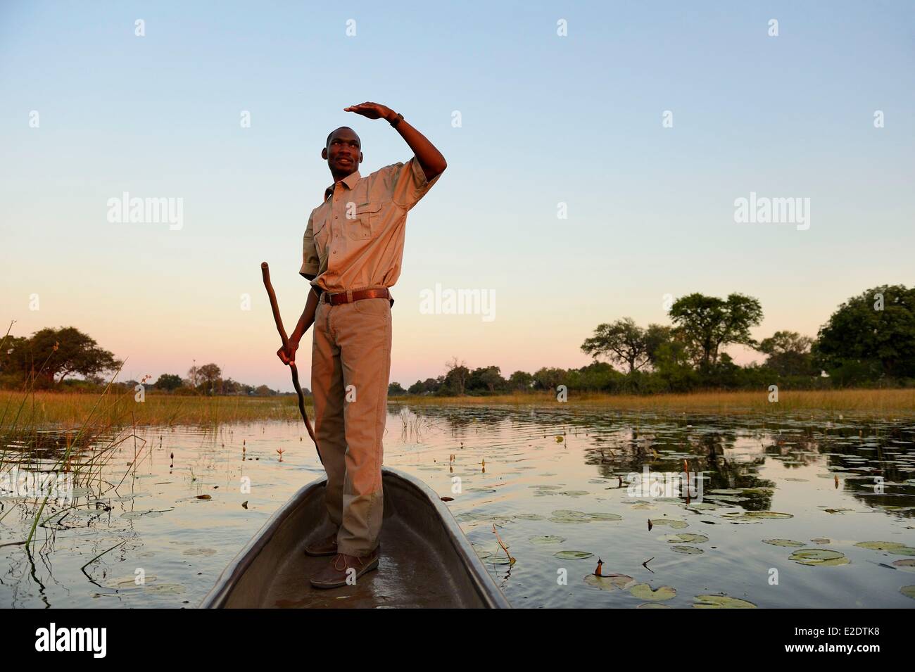 Botswana Northwest District Okavango Delta crossing the marsh by mokoro ...
