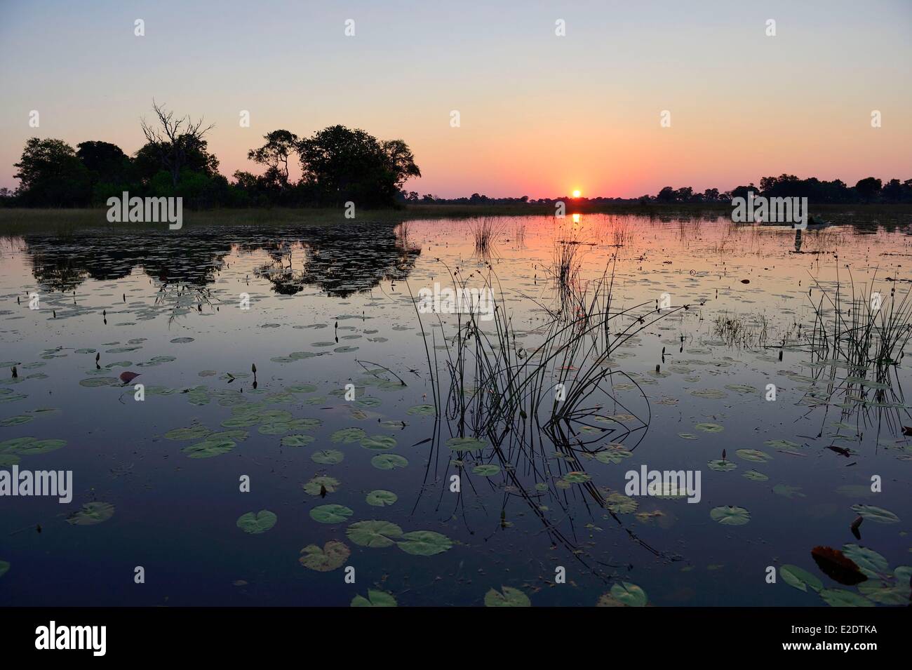 Lily boat hi-res stock photography and images - Alamy