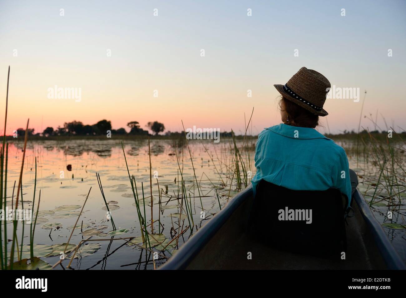 Delta marsh hi-res stock photography and images - Alamy