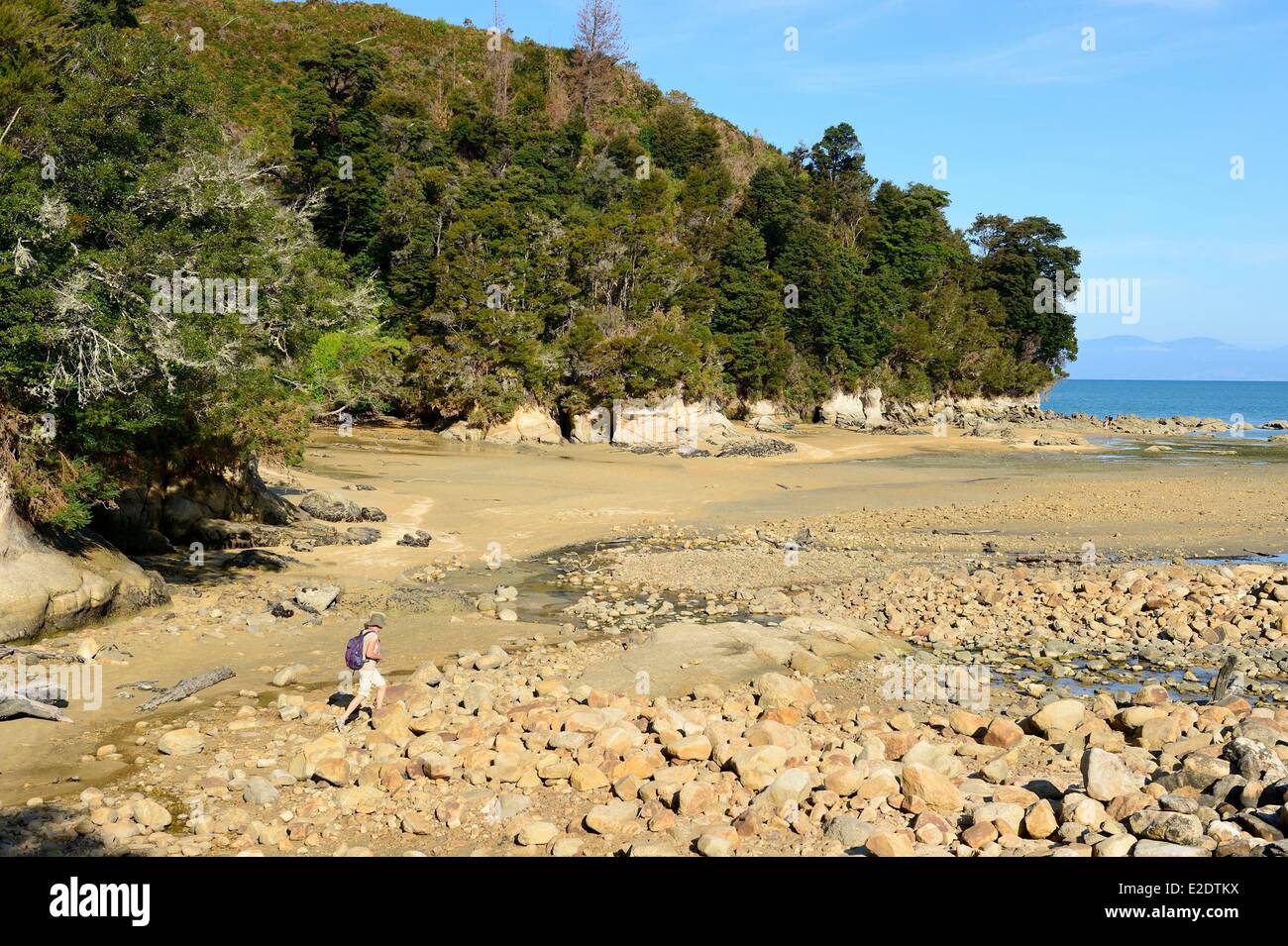 New Zealand South island Marahau coastal Abel Tasman National Park on the north coast of the ...