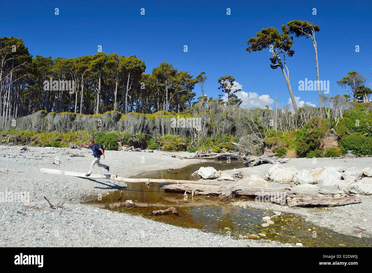 New Zealand South island West Coast region Bruce Bay on the Tasman Sea ...