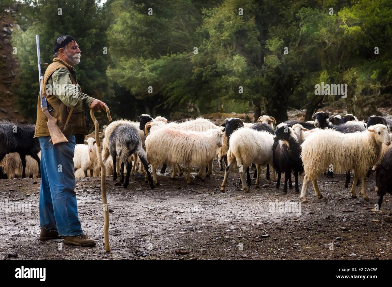 Greece Crete Ortholagos Lefka Ori or White Mountains the shepherd Nikos ...