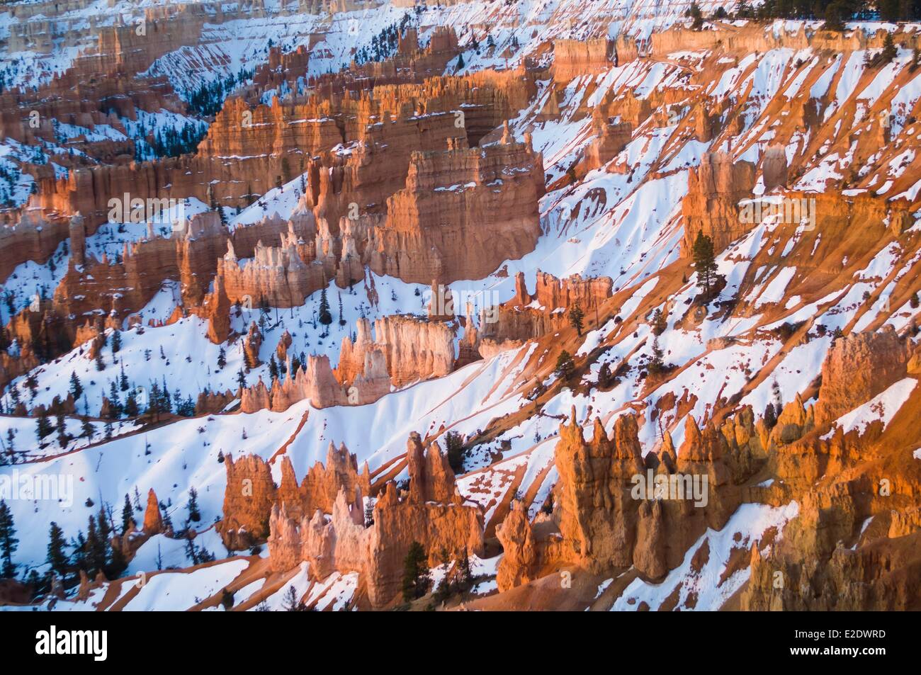 United States Utah Colorado Plateau Bryce Canyon National Park Stock ...