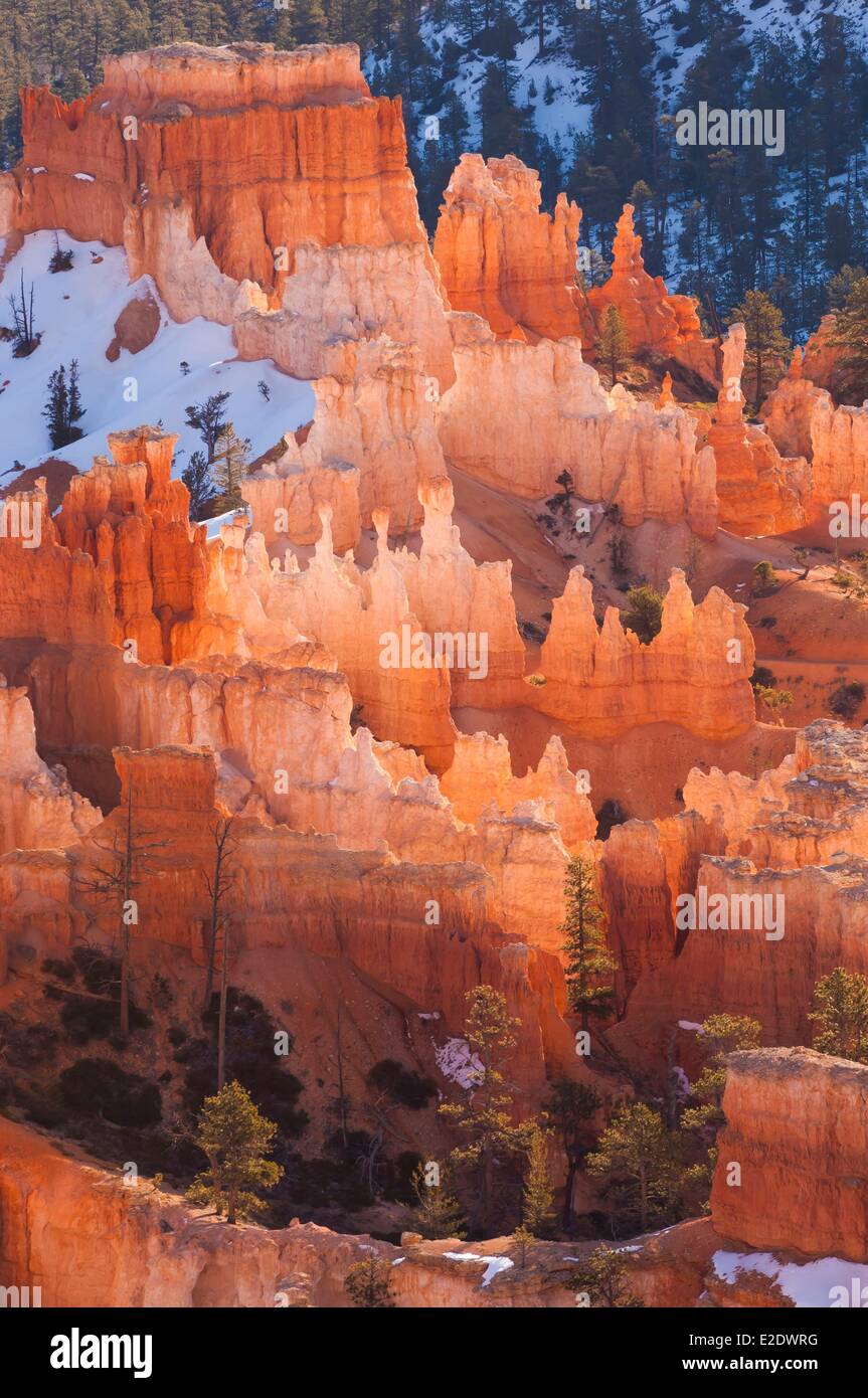 United States Utah Colorado Plateau Bryce Canyon National Park Stock ...