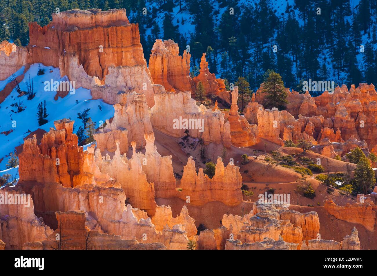 United States Utah Colorado Plateau Bryce Canyon National Park Stock ...