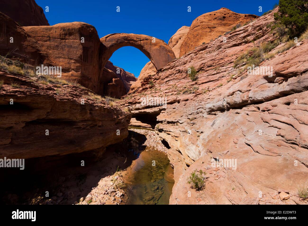 United States Arizona lake Powell Rainbow Bridge Stock Photo - Alamy